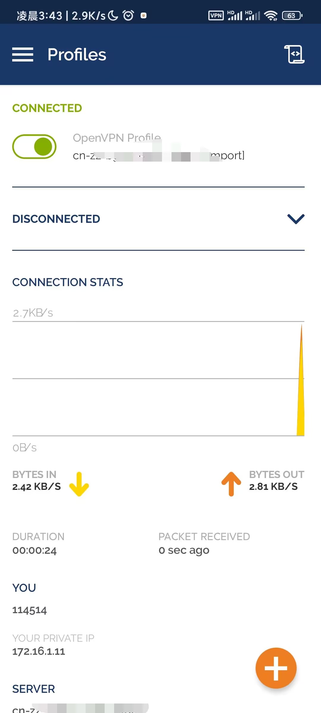 在Padavan（老毛子）固件上搭建内网VPN服务器并进行内网穿透的教程 – XIaolii"s Blog